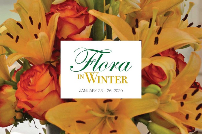 WAM: FLORA IN WINTER – Dodge Mill Museum